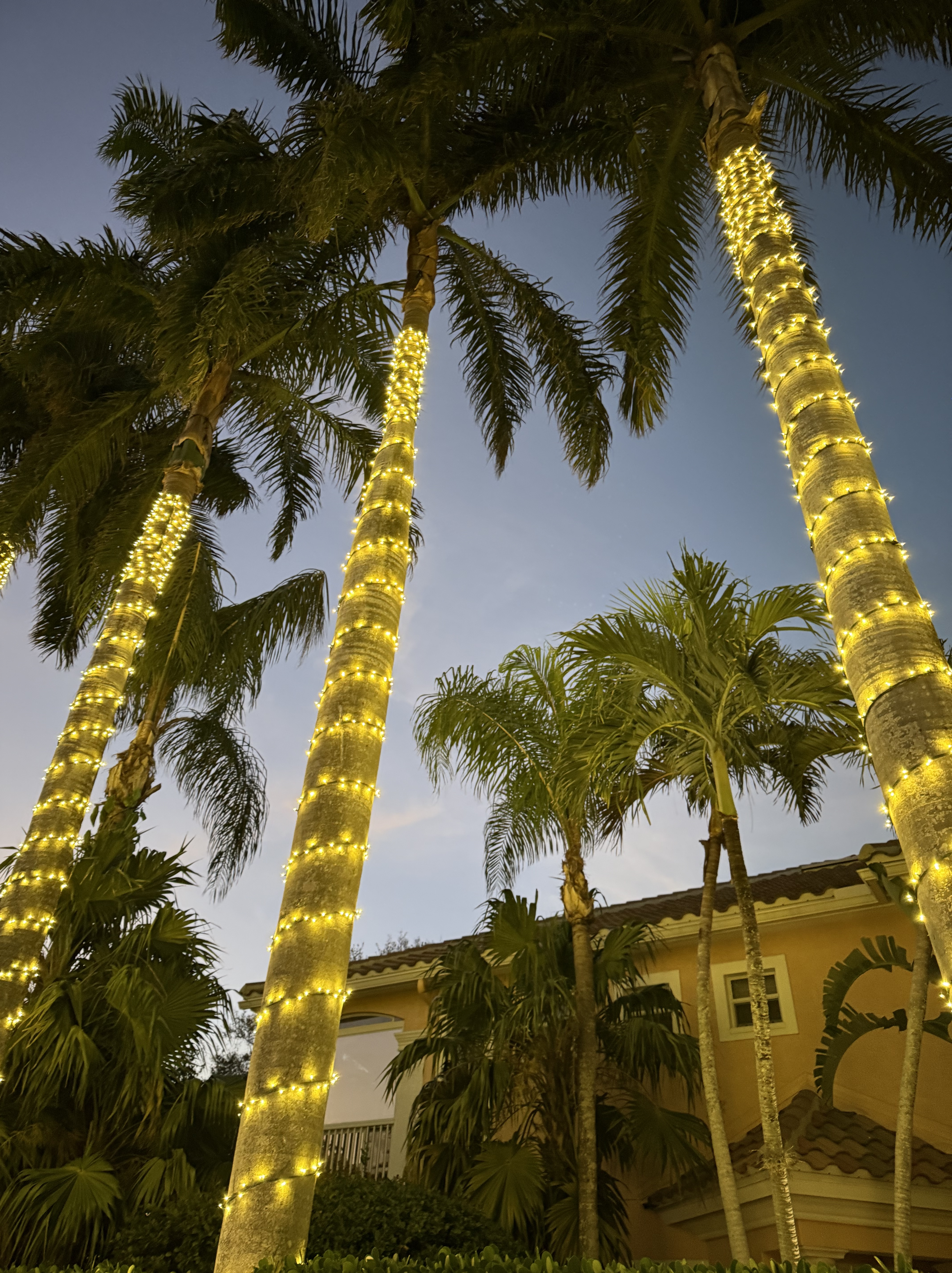 A Season of Rejoicing – Divine Overtones