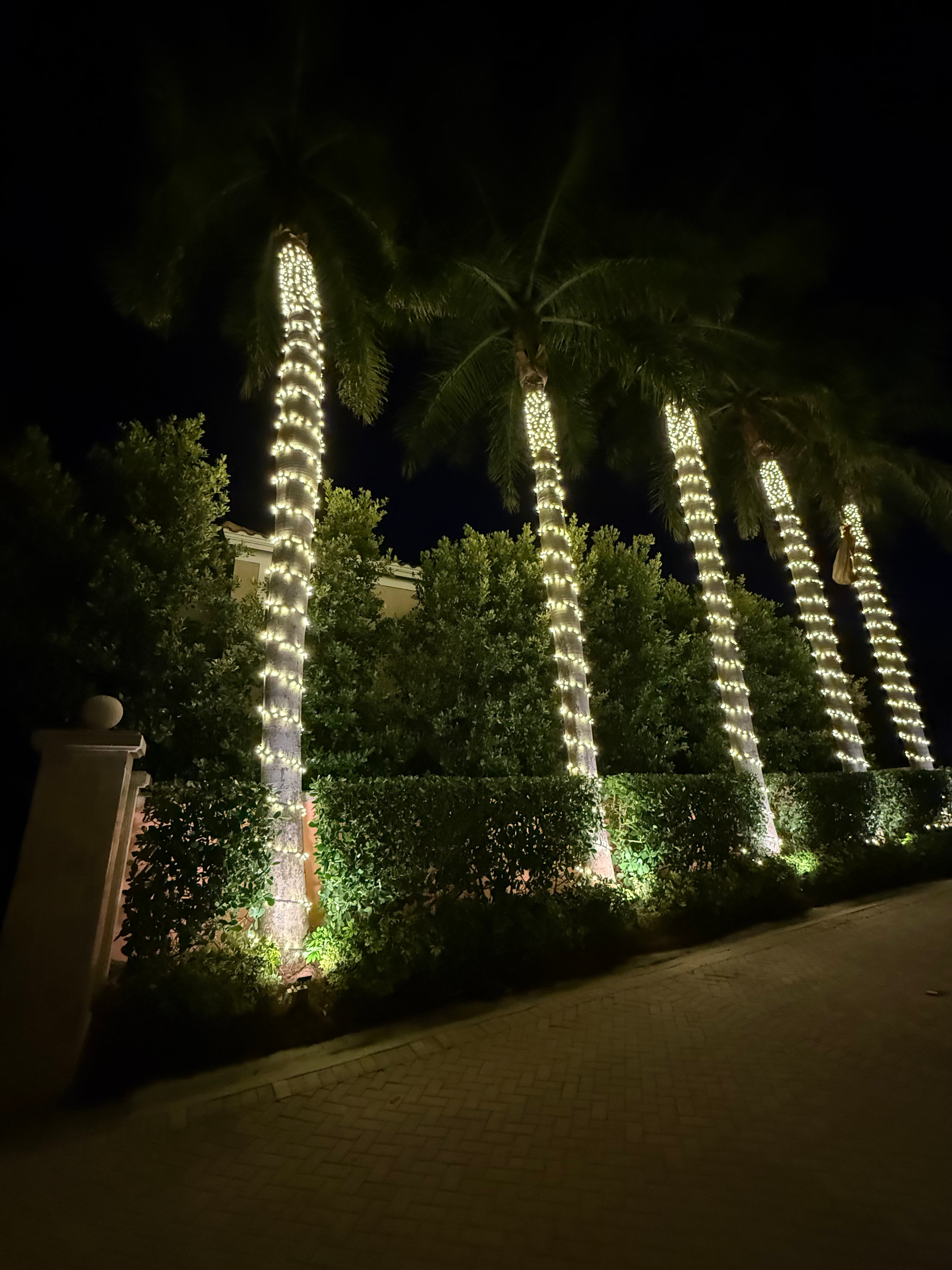 A Season of Rejoicing – Divine Overtones